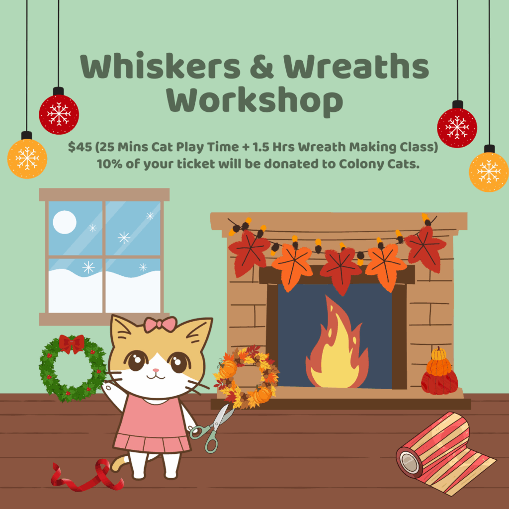 Kitty Bubble Cafe & Bar – Cat Cafe